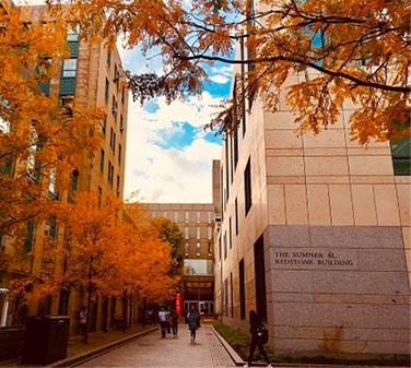 Boston University's Office of Admissions Website | Admissions