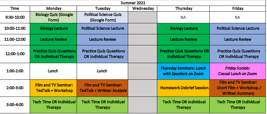 Intensive comprehensive communication rehabilitation, brain injury ...