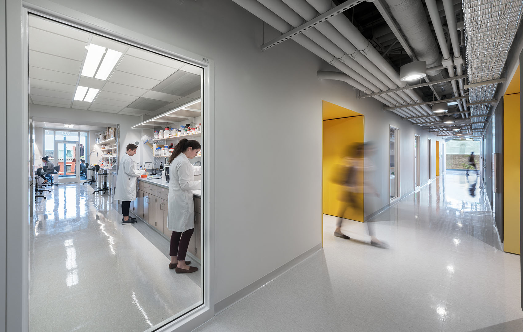 Boston University - Annual Report 2017