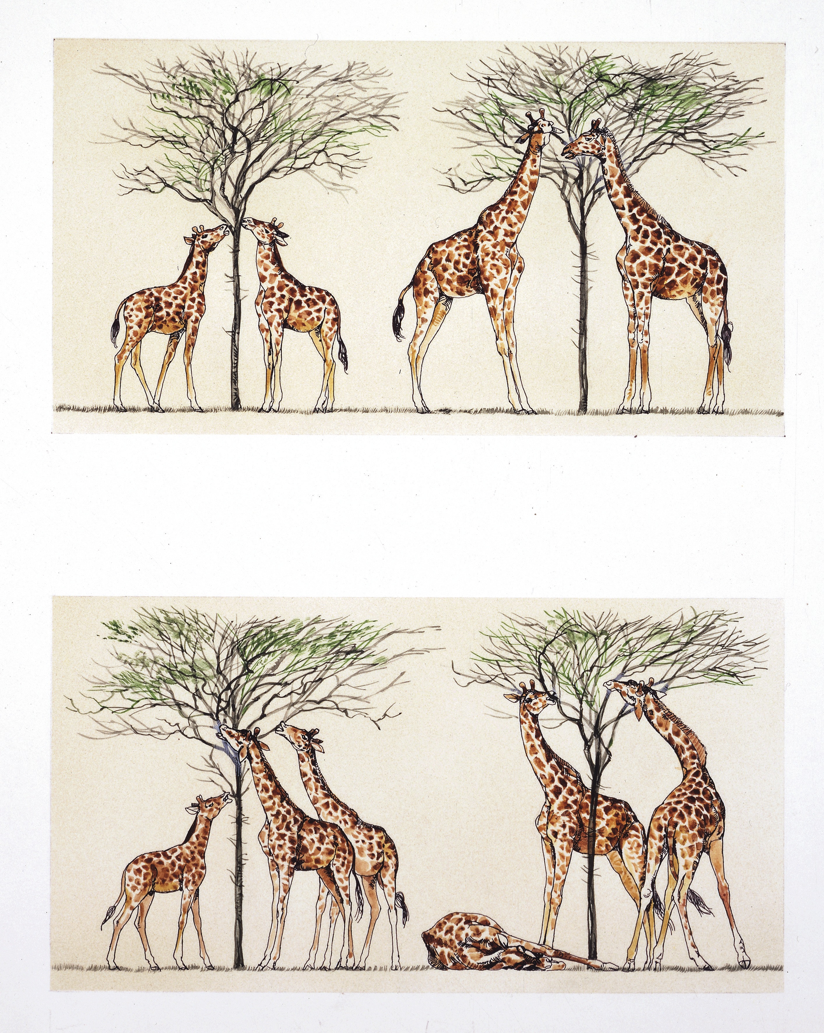 Biology – Evolutionary theory: theories of Jean-Baptiste Lamarck and of ... Biology – Evolutionary theory: theories of Jean-Baptiste Lamarck and of ...
