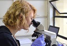Zoey Werbin | Biogeoscience