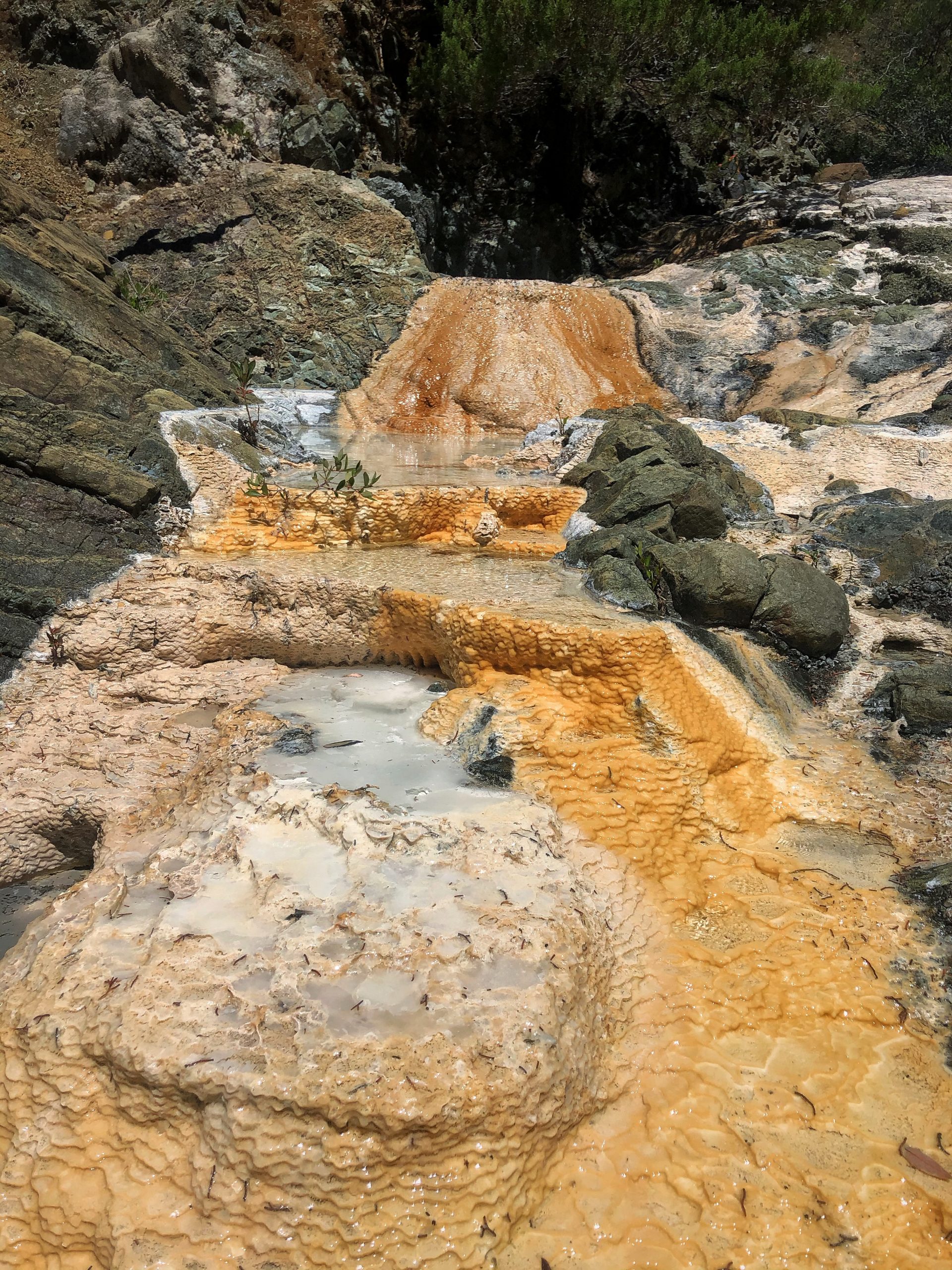 Jeff Marlow Receives Funding from Scialog | Biology