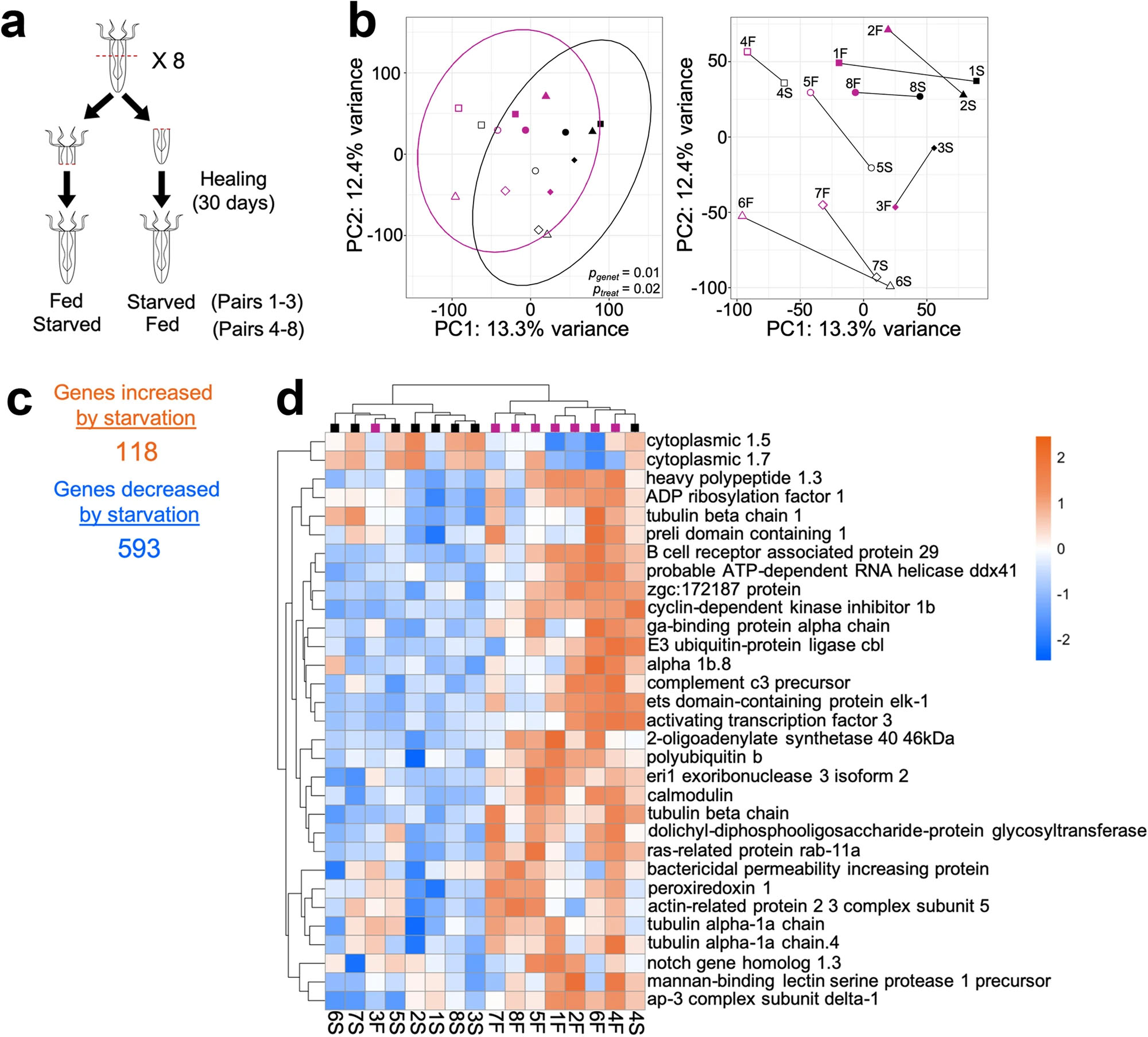 Gilmore Lab Featured in Nature’s Communications Biology | Biology