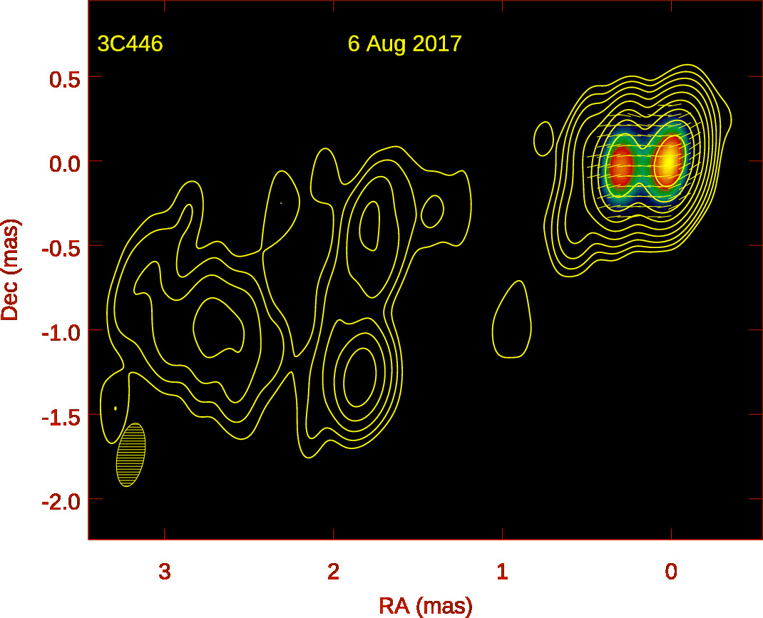 3C446