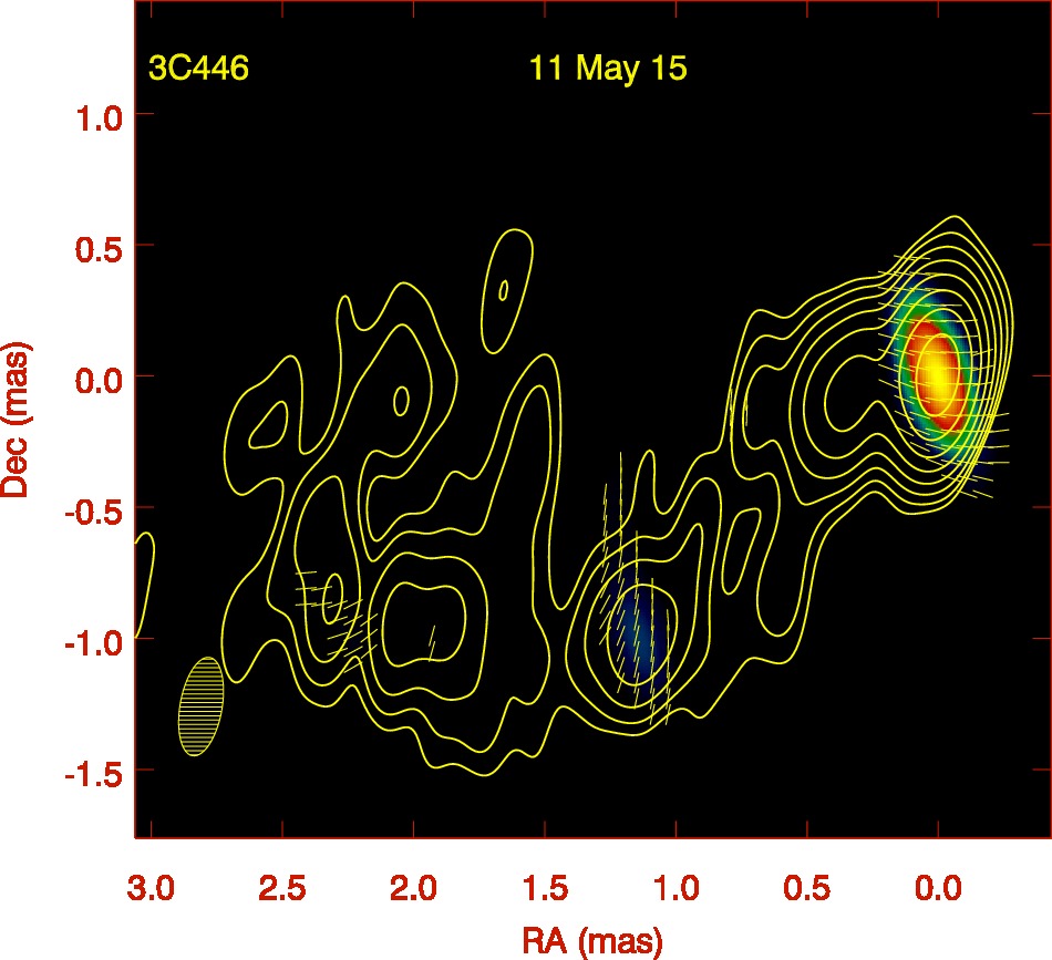 3C446