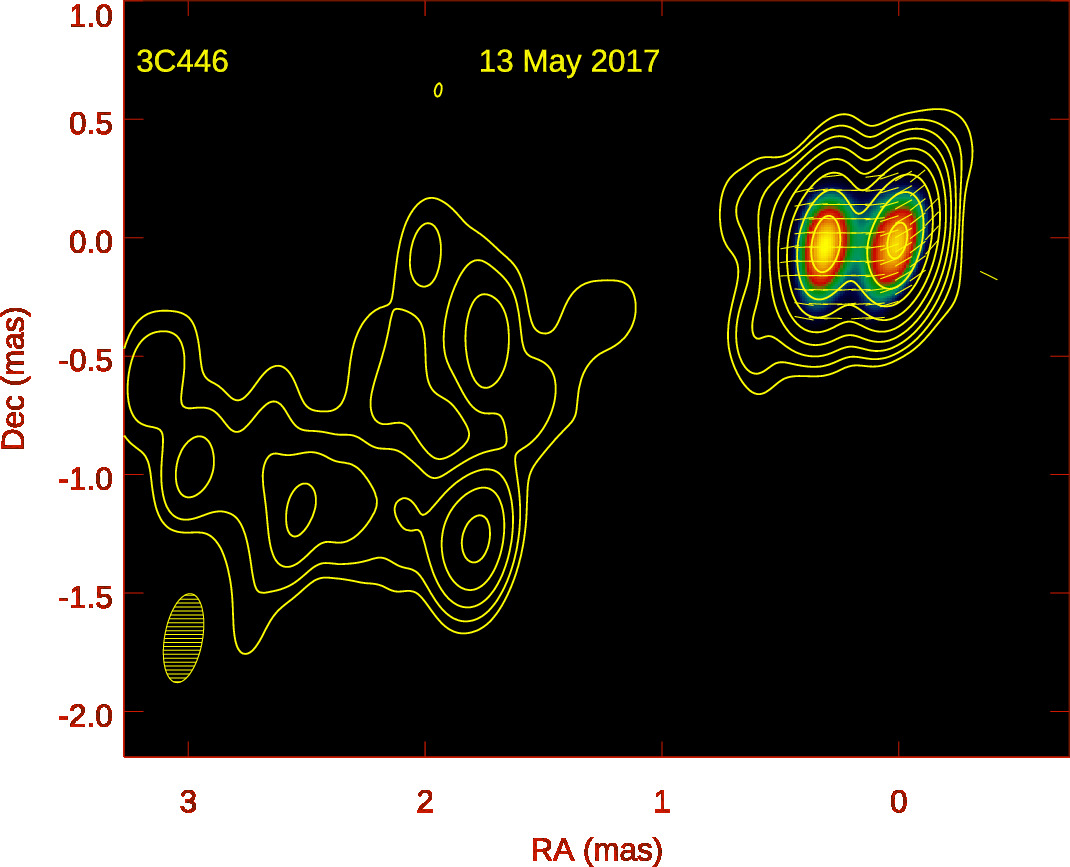 3C446