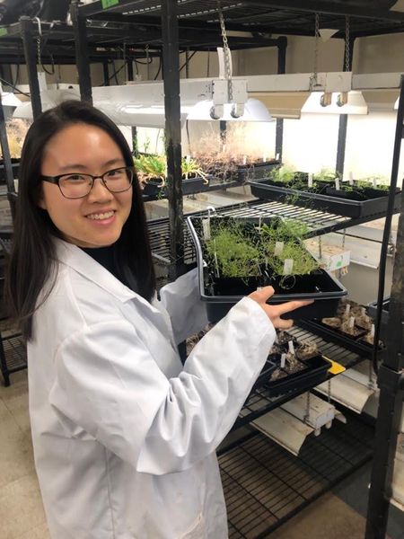 Jamie Li Awarded First Place in Undergrad Presentation Category at ...