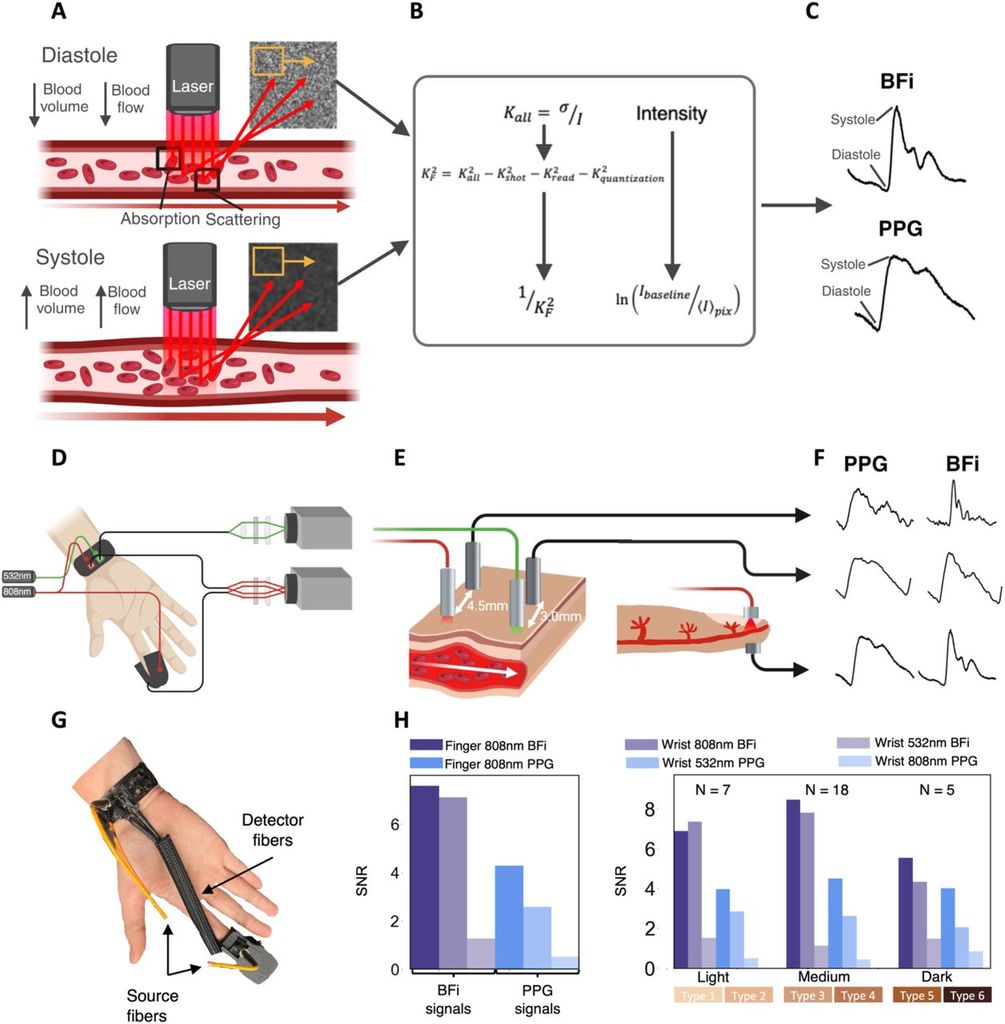 New preprint on cuffless blood pressure with speckle contrast optical spectroscopy | Biomedical ...