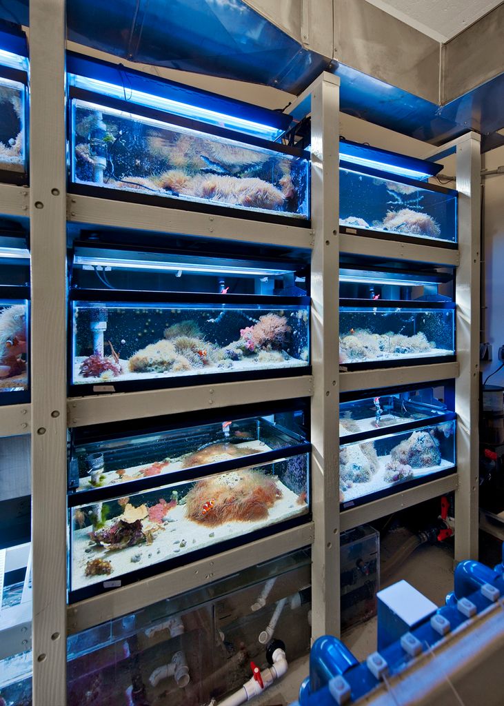 Facilities for Teaching, Training, and Research | Marine Program