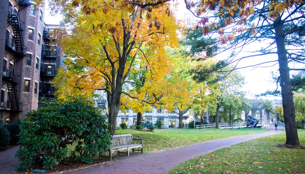 Virtual Visits with the BU GRS Master’s Admissions Team | Arts & Sciences