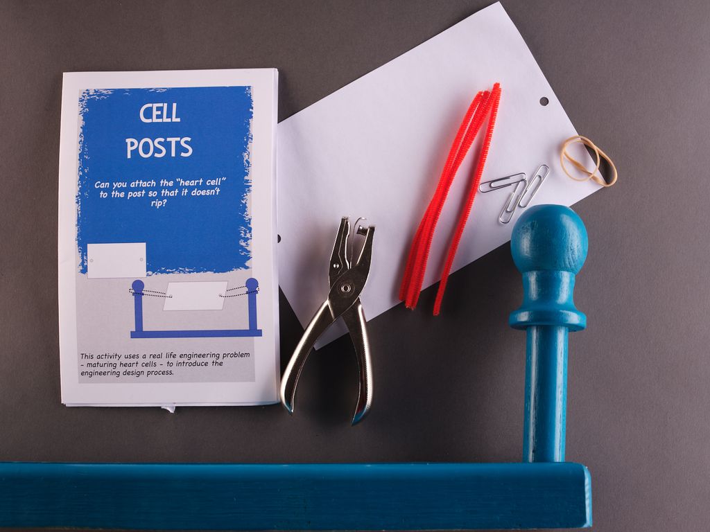 EEK! Activities | Engineering Research Center in Cellular Metamaterials