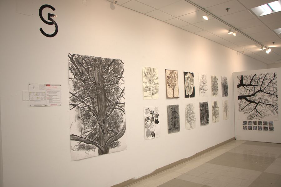 Gallery 5 | College of Fine Arts