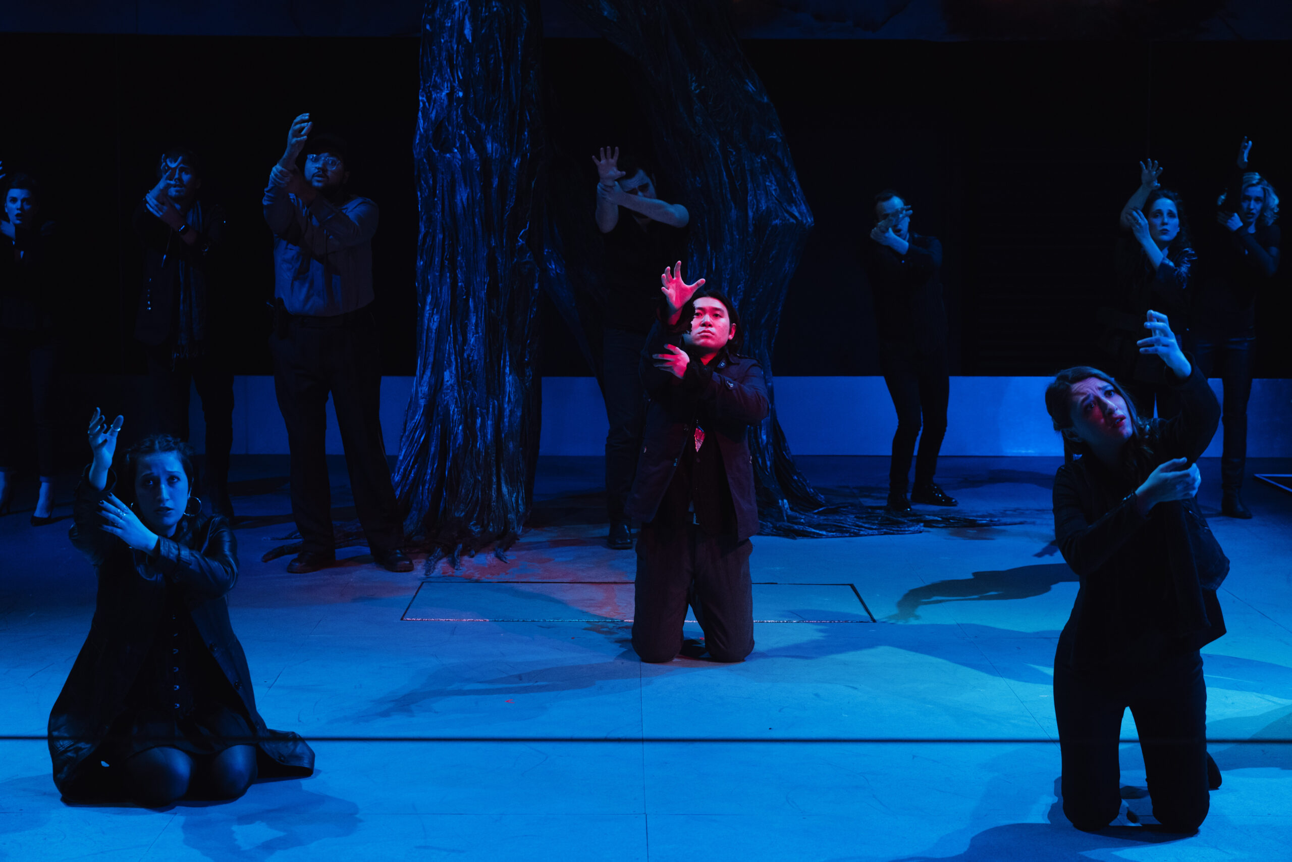 Performance Diploma in Opera | College of Fine Arts