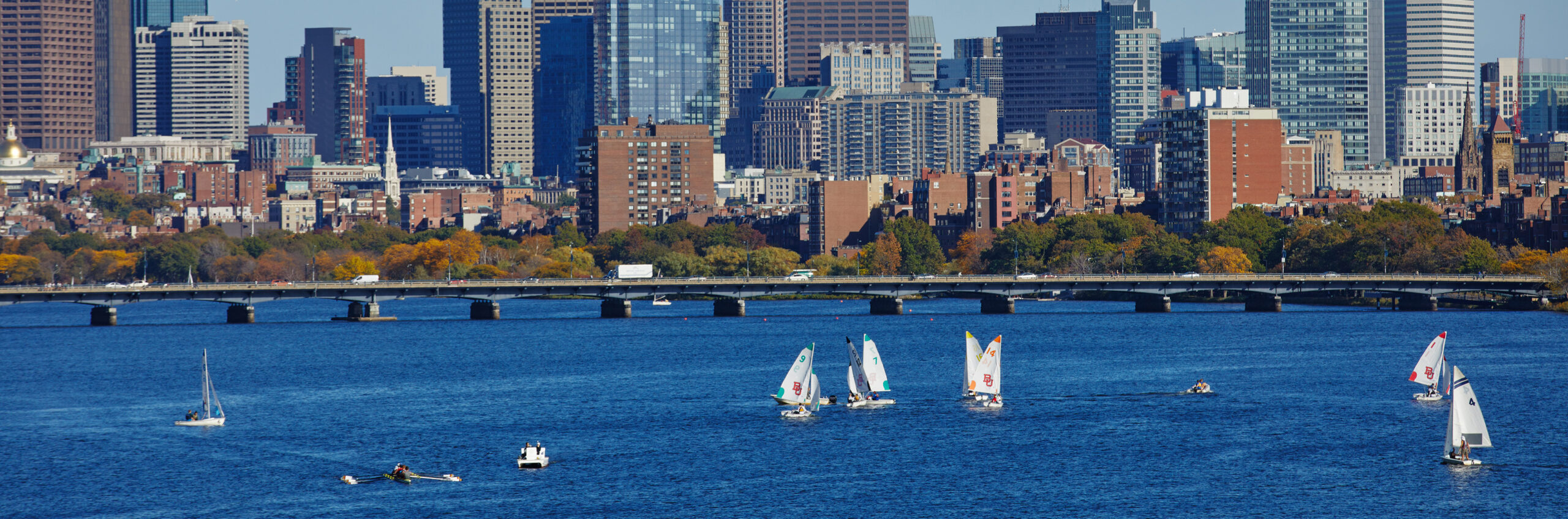 Summer Fellowships | Center on Forced Displacement