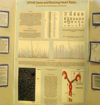 Human Genome Project Poster