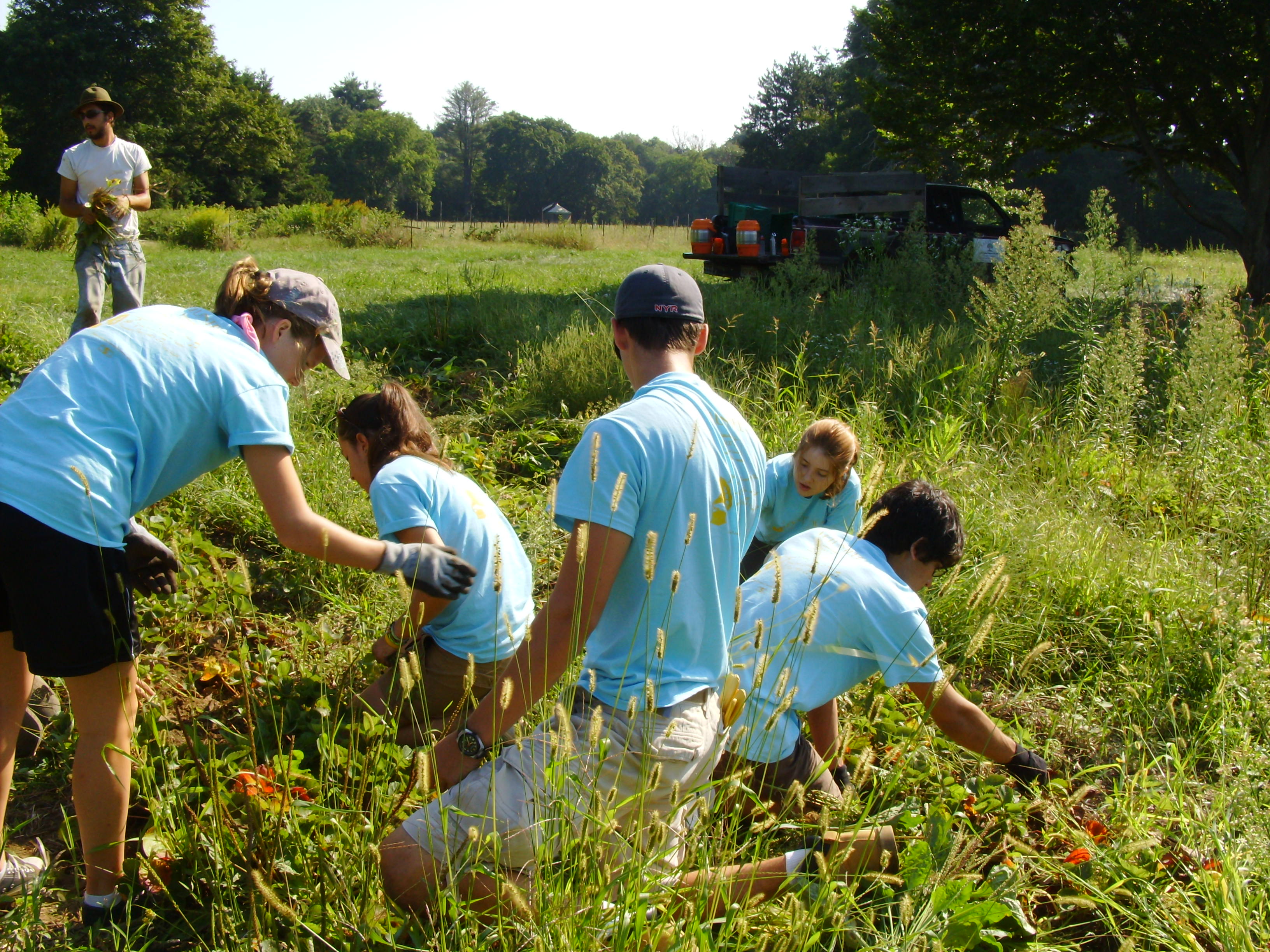 Website front page | Community Service Center