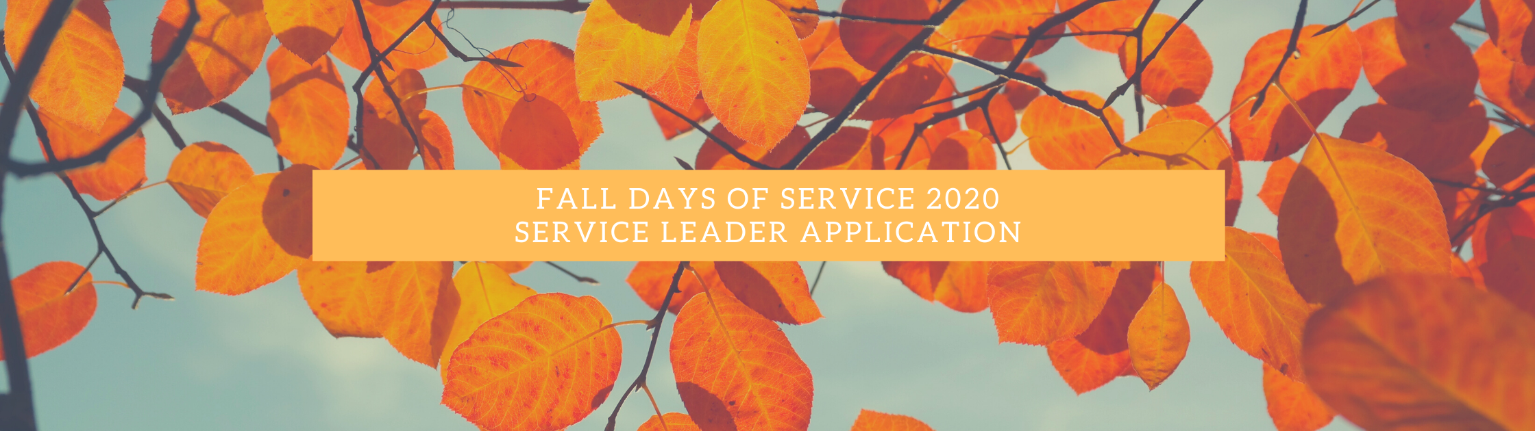 Become a FDS Service Leader | Community Service Center
