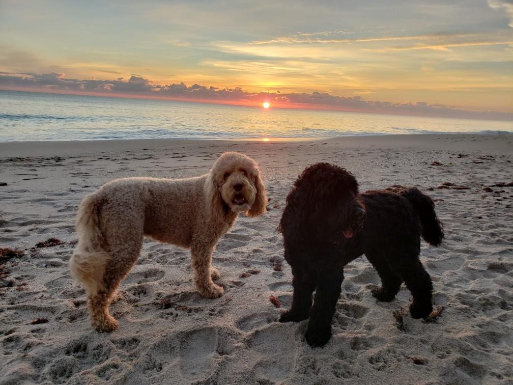 Ed Wolf | CTE Center