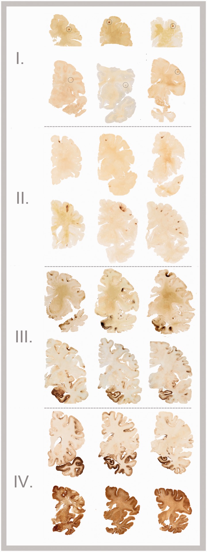 Significant Research Findings | CTE Center