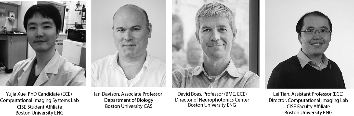 Brain Imaging Scaled Down | College of Engineering