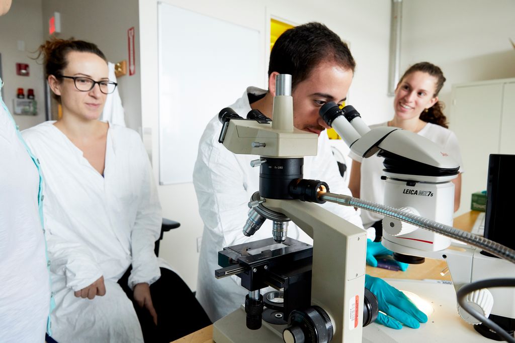 Research | College of Engineering