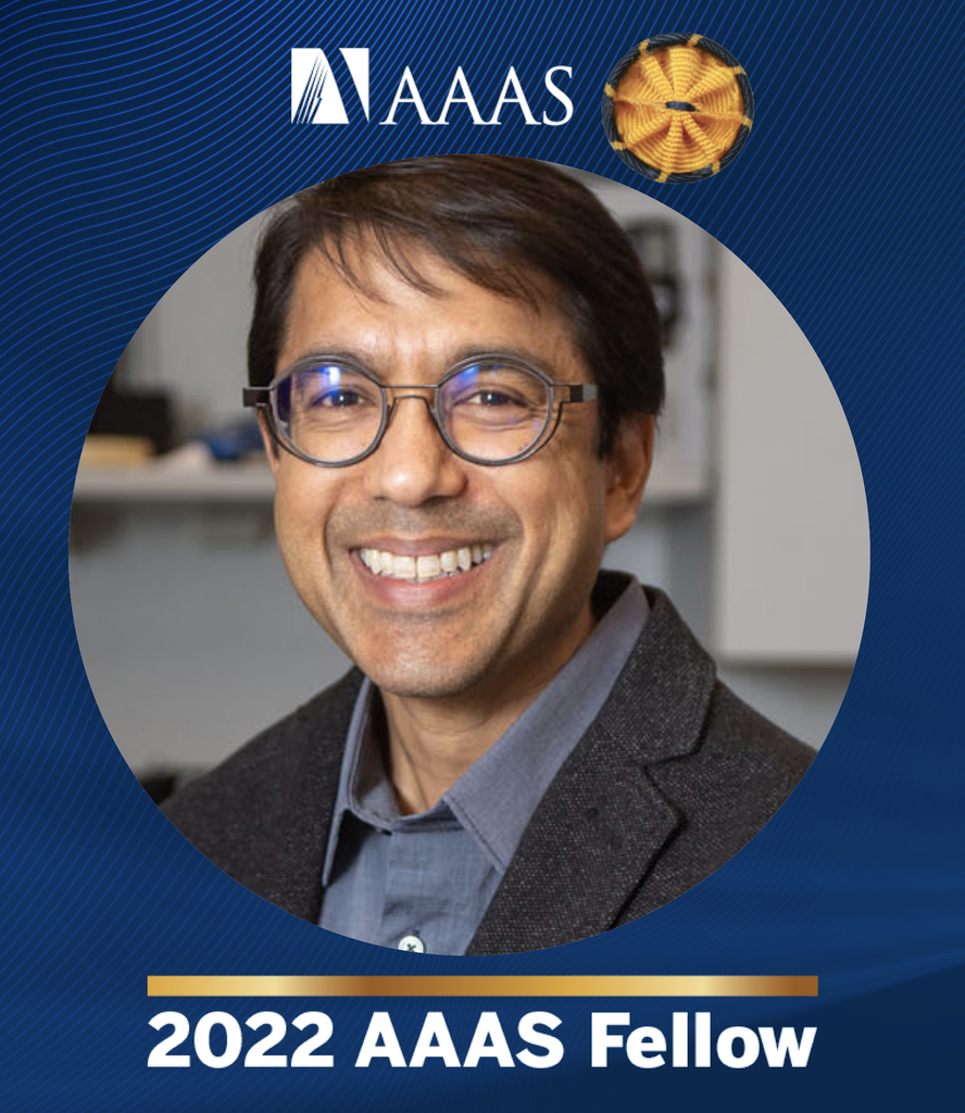 Visionary, Recognized: Professor Goyal an AAAS Fellow | College of ...
