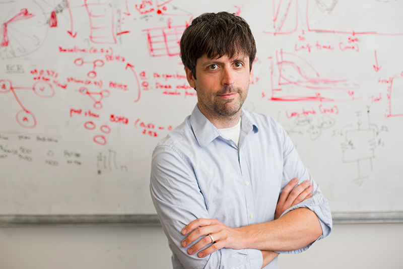 BU mathematician Mark Kramer is building mathematical models of brain ...