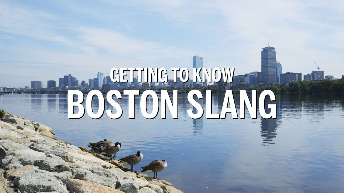 Mastering Boston Slang | BU Today | Boston University