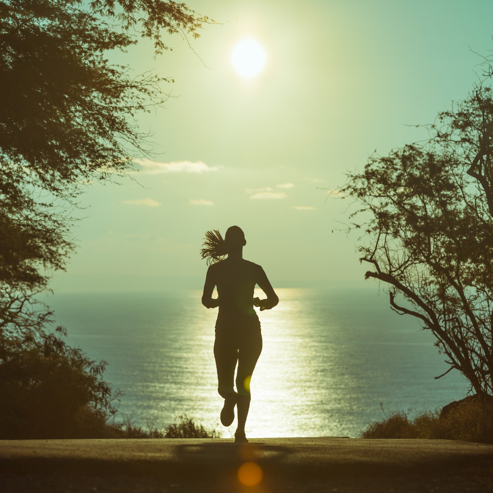 Six Ways to Pass the Time in Quarantine | Boston University