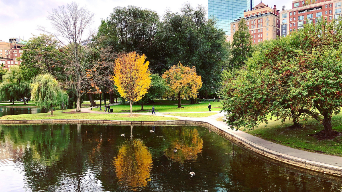 Fall Has Arrived—Seven Reasons Why We're Excited | Hey BU