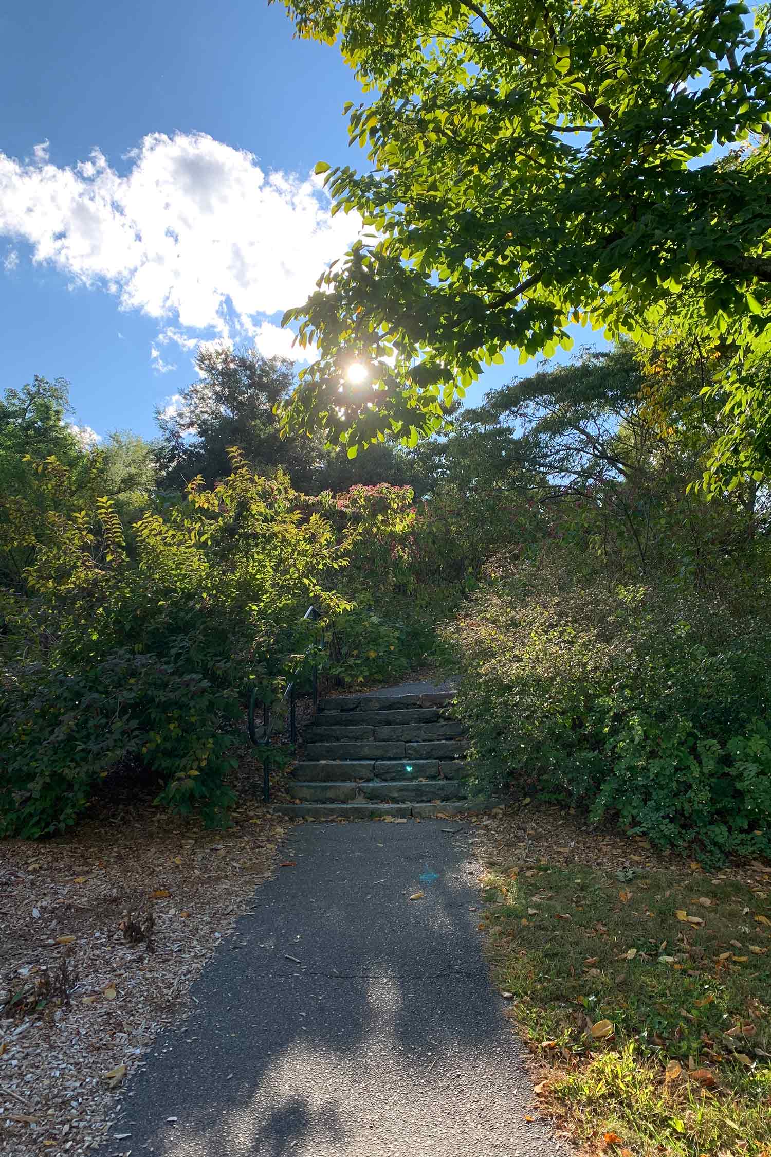 Photos of Life Before the Pandemic and Now, Our New Normal | BU Today ...