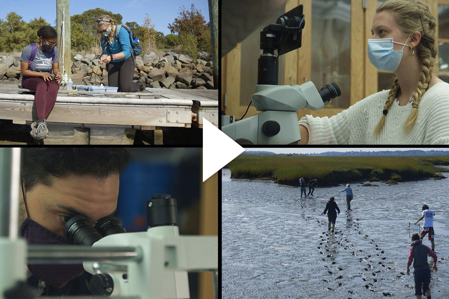 Fulweiler’s Message in a Bottle | BU Today | Boston University