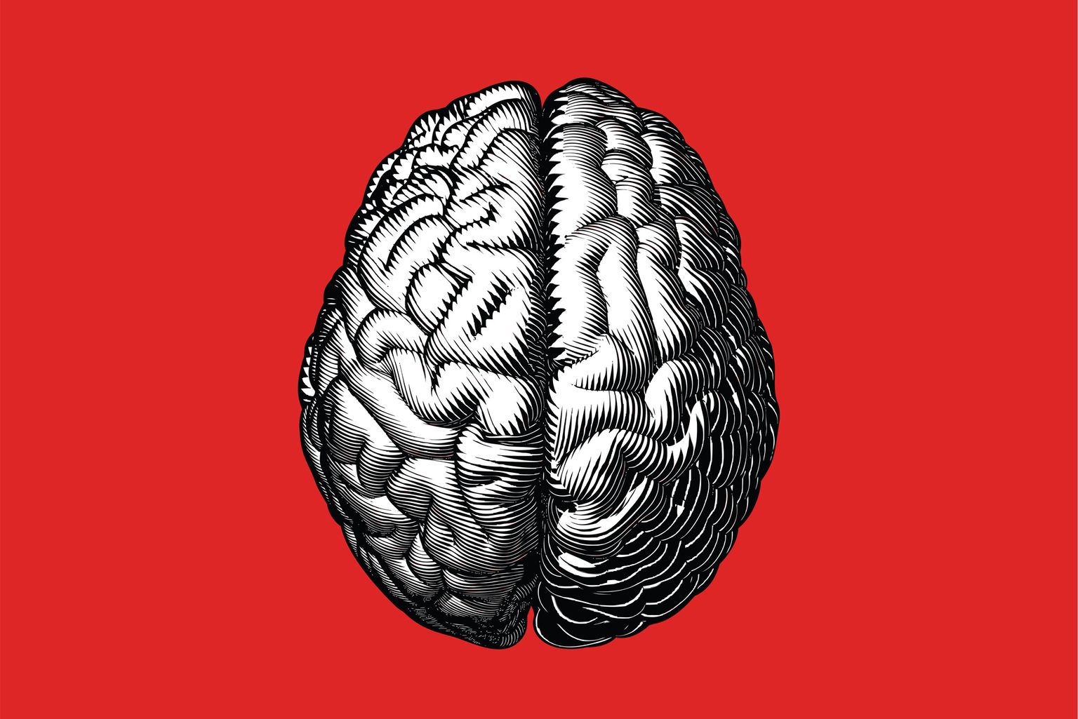 New BU Center for Brain Recovery Aims to Advance Treatments for Stroke ...