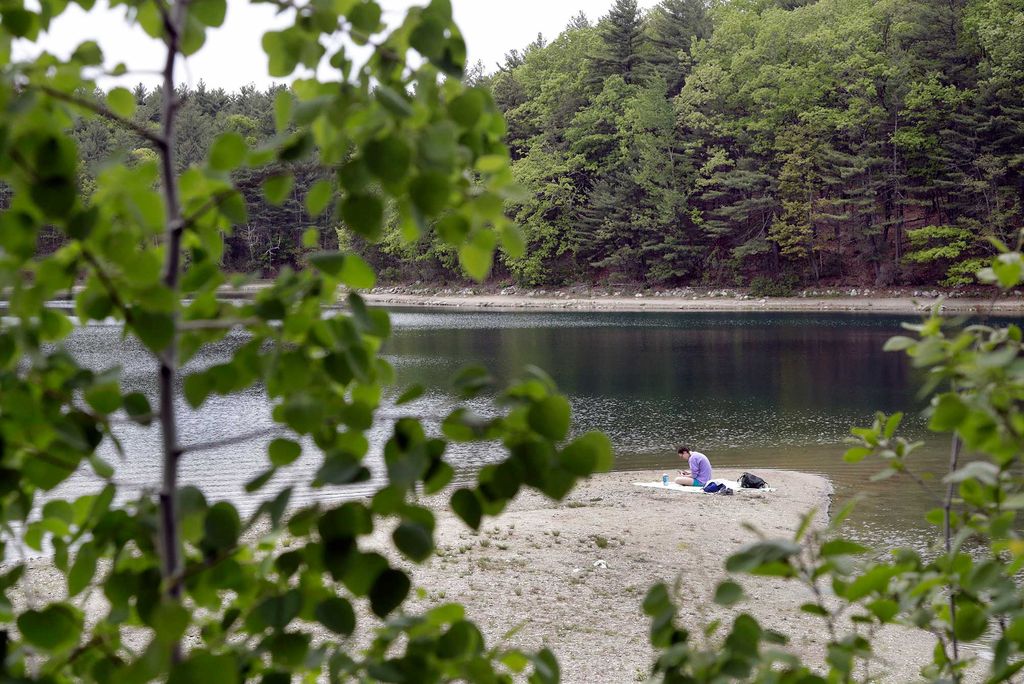 To Do Today: Cool Off at Walden Pond | BU Today | Boston University