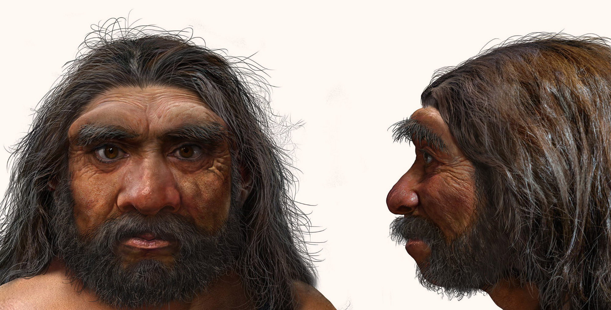 Is “Dragon Man” a Missing Link in Human Evolution? | The Brink | Boston ...
