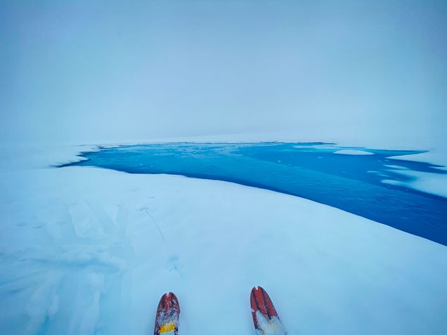 On Alaska’s Glaciers, Life Is Harsh—and So Is the Reality of Climate ...