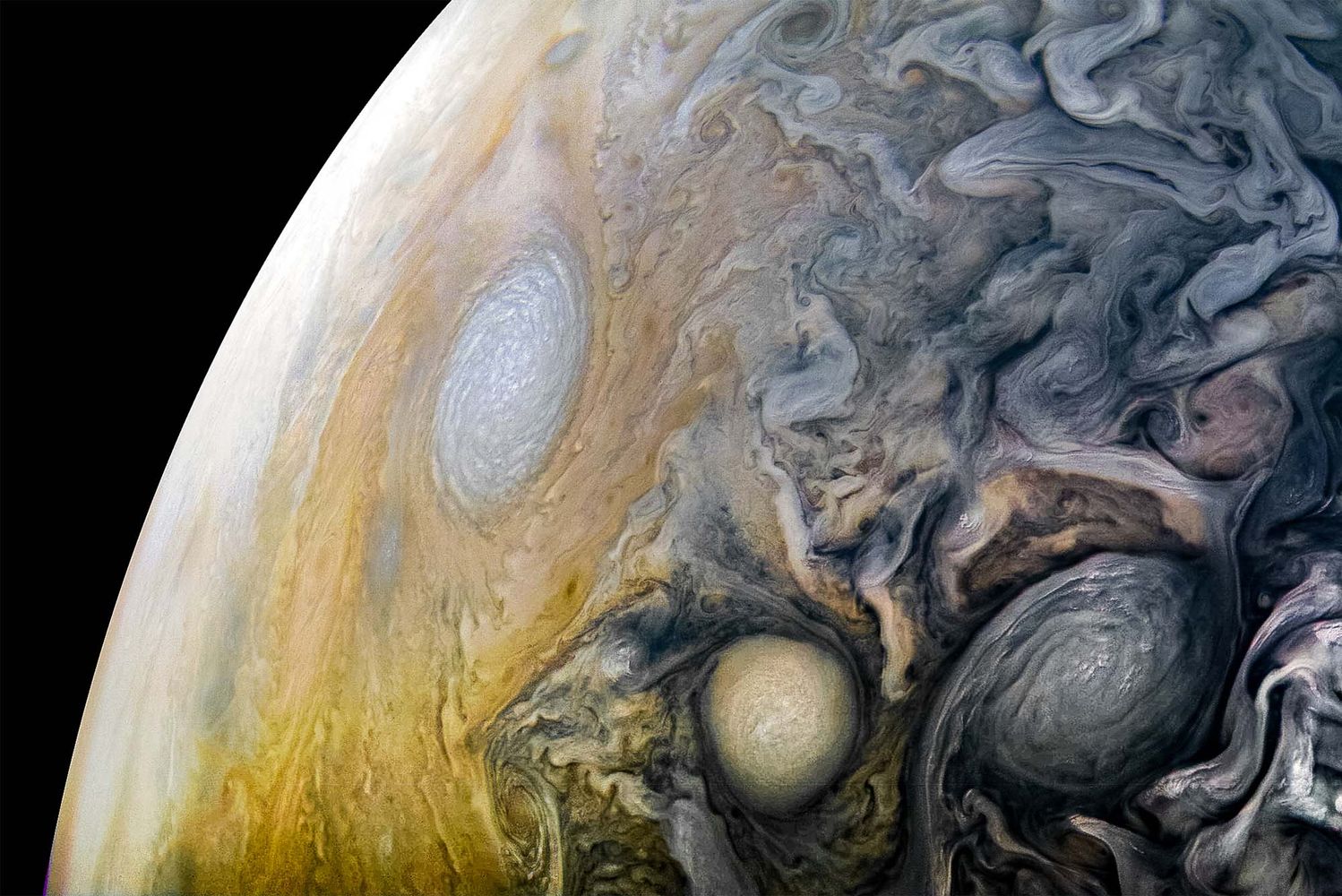 Stunning Close-Up Images of Jupiter, Its Storms, and a Dolphin Cloud ...