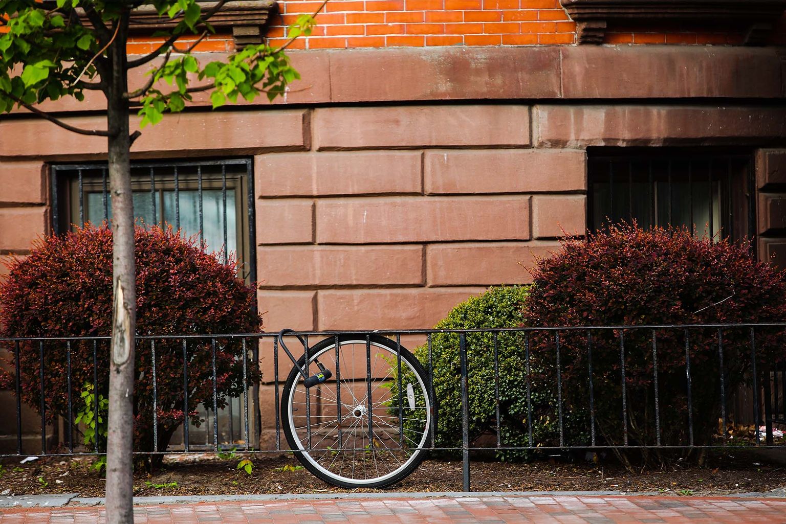 Tips for Students on How to Protect Your Property | BU Today | Boston ...