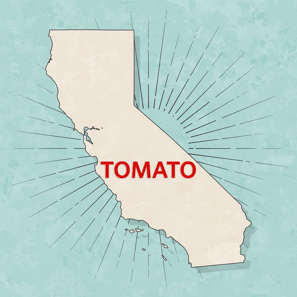 Can You Spell “West Virginia”? Many in the Mountain State Need Help ...