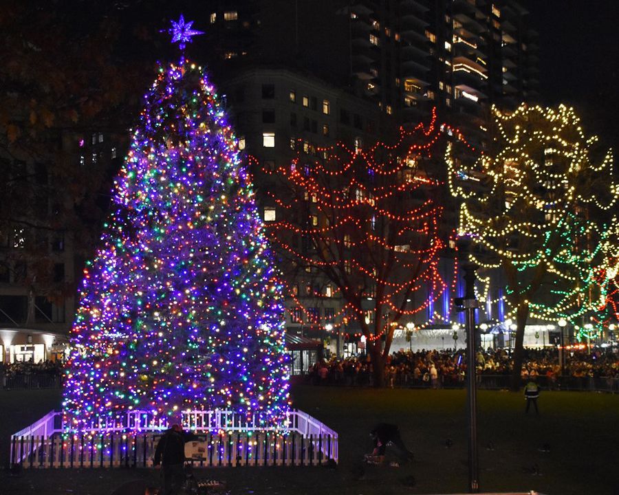 The Weekender: December 1 to 4 | BU Today | Boston University