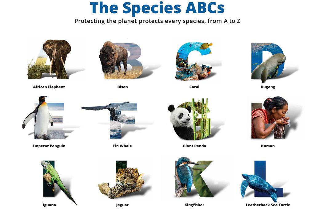 COM Students Create Successful Marketing Campaigns for Night Shift ...