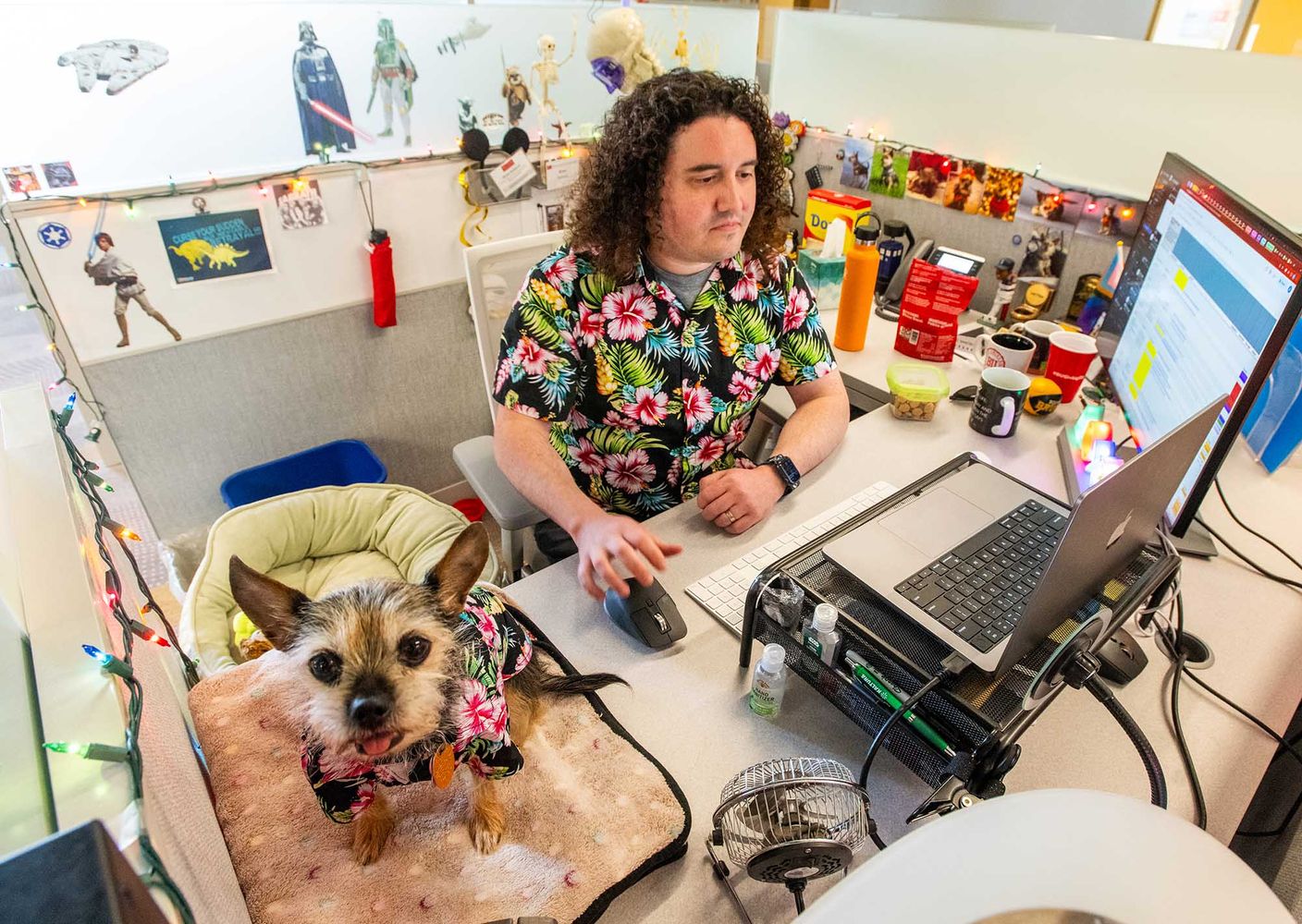 A Round of A-Paws for Pets on Campus | BU Today | Boston University