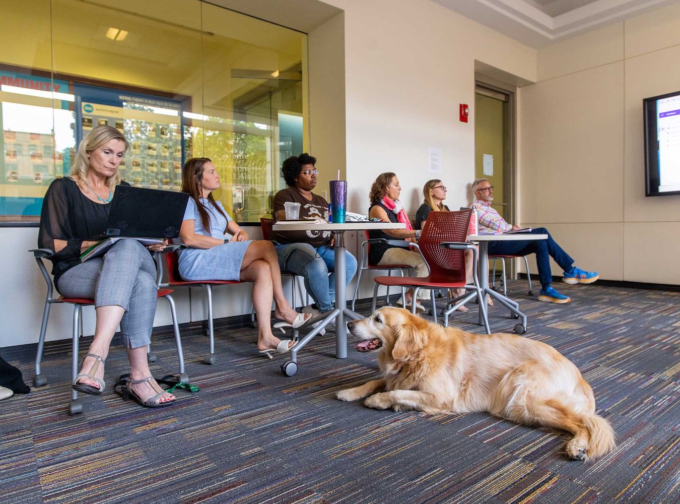 A Round of A-Paws for Pets on Campus | BU Today | Boston University