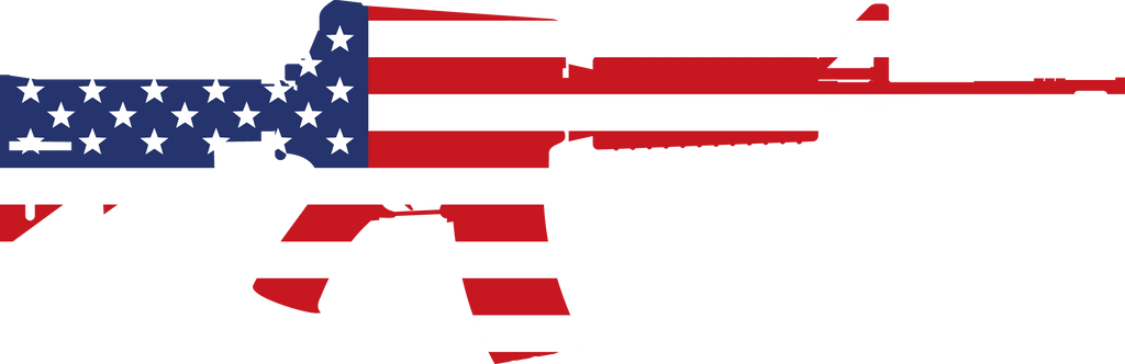 How the AR-15 Divided a Nation | Bostonia | Boston University