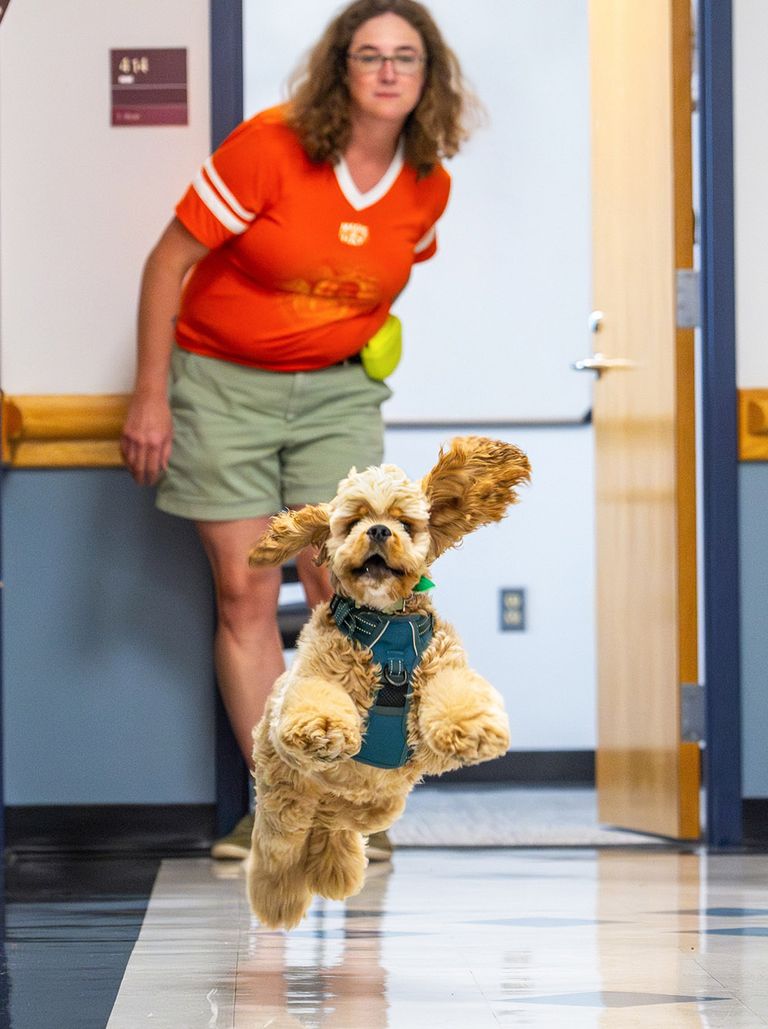 A Round of A-Paws for Pets on Campus | BU Today | Boston University