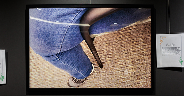 New Campus Exhibition Explores What It’s Like to Be “Fat on Campus” | BU Today | Boston University