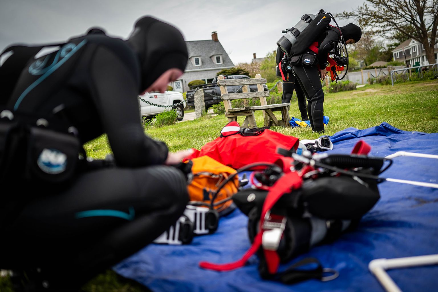 Scuba Diving Safely for Marine Biology Research | The Brink | Boston ...