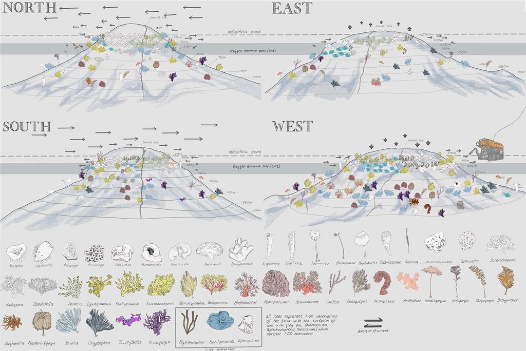 See the First Detailed Illustration of an Ancient Deep-Sea Mountain ...