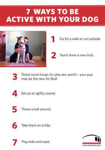 7 Ways To Be Active With Your Dog ‹ Fitness & Recreation Center ...