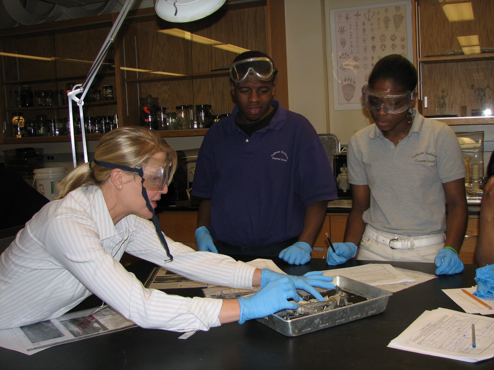 LERNet | BIOBUGS: Anatomy Gallery